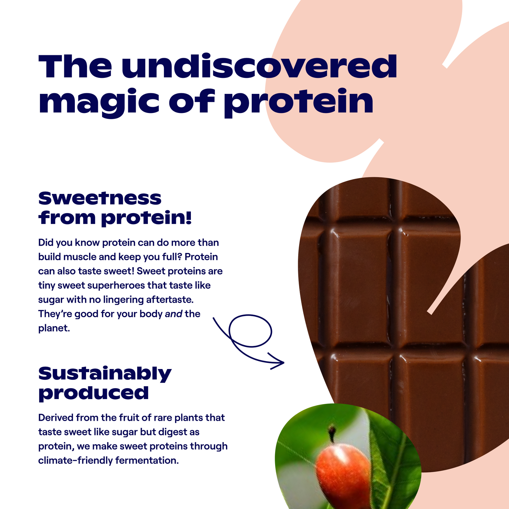 Dark Chocolate Almond Toasty Bars – Oobli